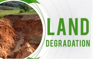 Land Degradation: Causes, Effects, and Solutions – Rolling Lands