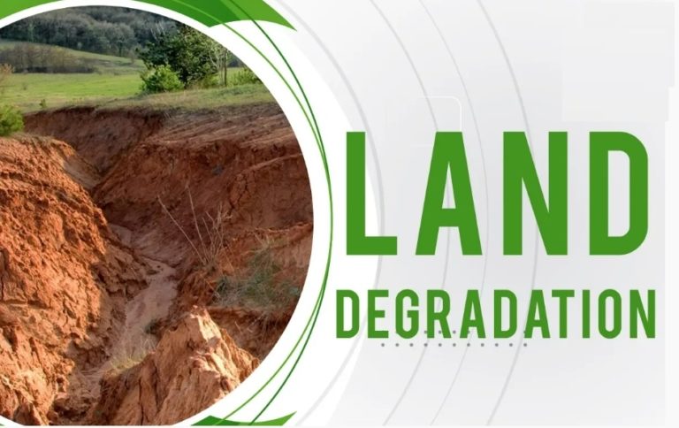Land Degradation: Causes, Effects, and Solutions – Rolling Lands